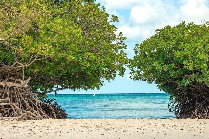 Small-Group Aruba Scuba Diving for Non-Certified Divers - What to Expect from Your Aruba Scuba Experience