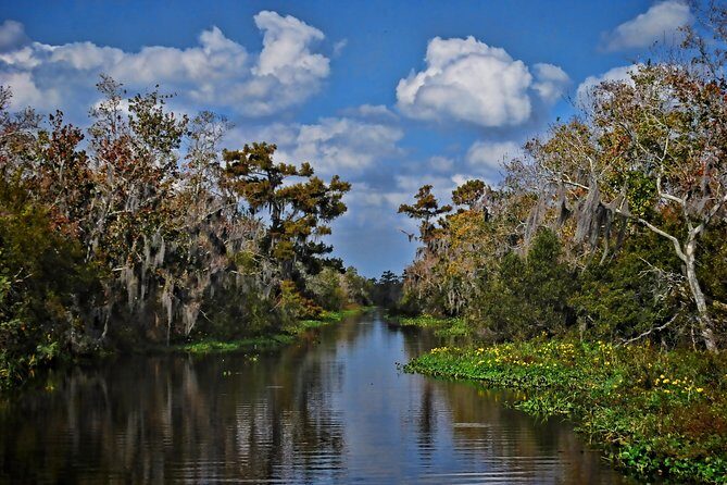 Small-Group Bayou Airboat Ride with Transport from New Orleans - Practical Tips for Your Trip