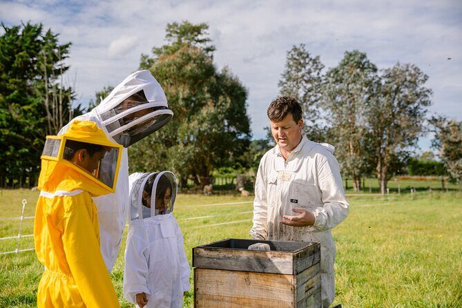 Small-Group Beekeeping Experience in Tauherenikau - An In-Depth Look at the Beekeeping Tour
