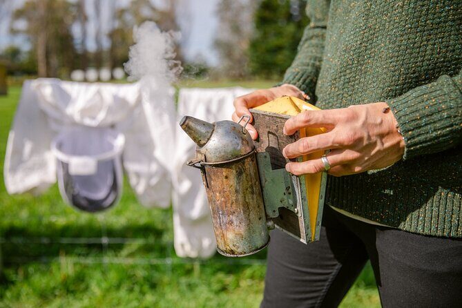 Small-Group Beekeeping Experience in Tauherenikau - The Sum Up