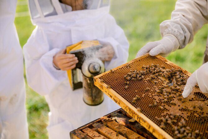 Small-Group Beekeeping Experience in Tauherenikau - Frequently Asked Questions