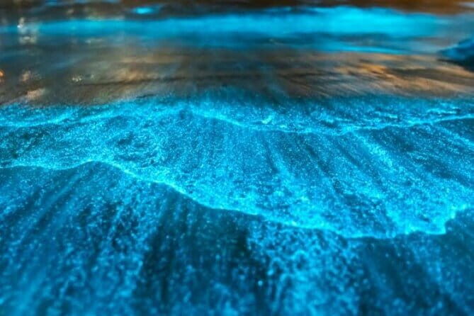 Small Group Bioluminescent Canoe&Twilight Adventure Phang Nga Bay - Introduction: What You Need to Know