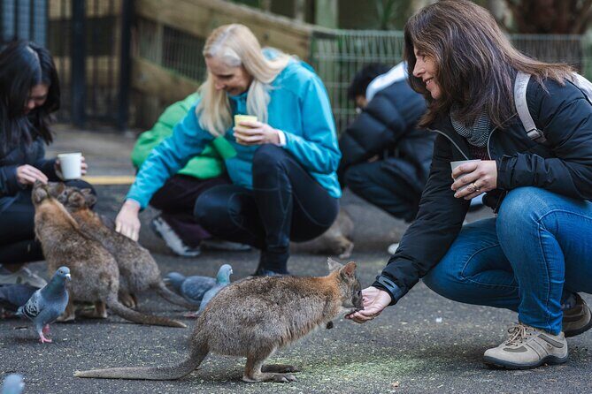 Small Group Blue Mountains Wildlife & Bushwalk Tour From Sydney - The Value of This Tour