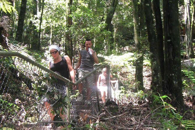 Small Group Blue Mountains Wildlife & Bushwalk Tour From Sydney - Final Thoughts