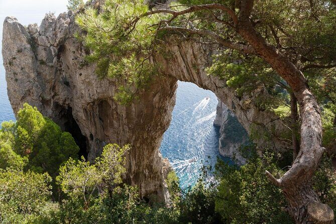 Small Group Boat Day Excursion to Capri Island from Amalfi - Key Points