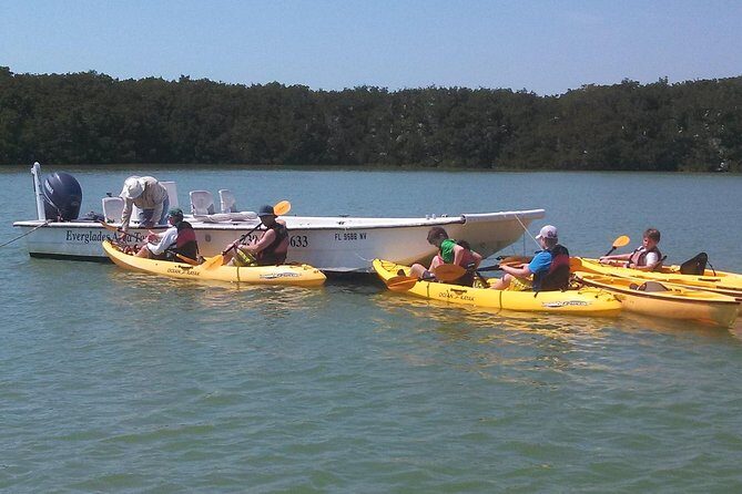 Small Group Boat, Kayak and Walking Guided Eco Tour in Everglades National Park - An In-Depth Look at the Experience