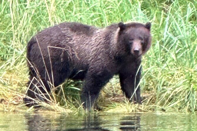 Small Group Boat Tour of Sitka - Overview of the Experience