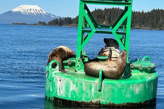 Small Group Boat Tour of Sitka - The Sum Up