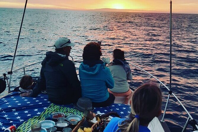 Small Group Boat Whale and Dolphin Watching Tour - Who Should Consider This Tour?