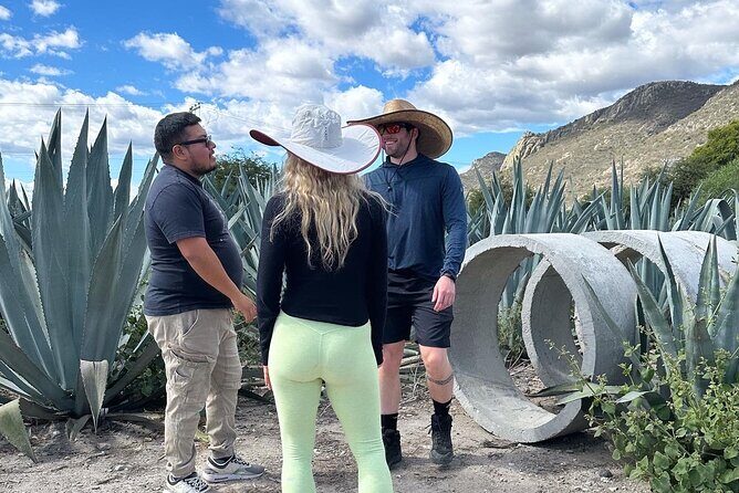 Small Group Boerve del Agua and Mezcal Tour from Oaxaca Centro - Authentic Oaxacan Lunch at a Local Buffet