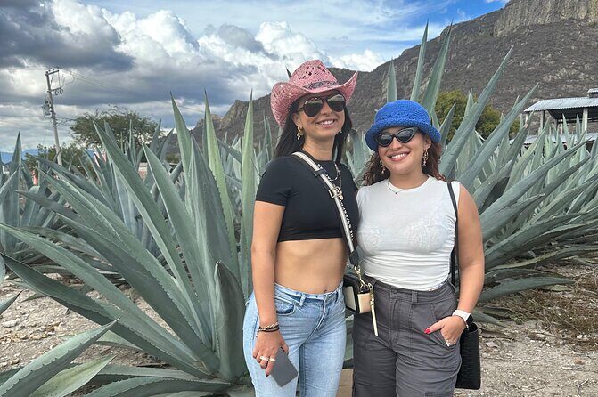 Small Group Boerve del Agua and Mezcal Tour from Oaxaca Centro - Wrapping Up at the Ethnobotanical Garden