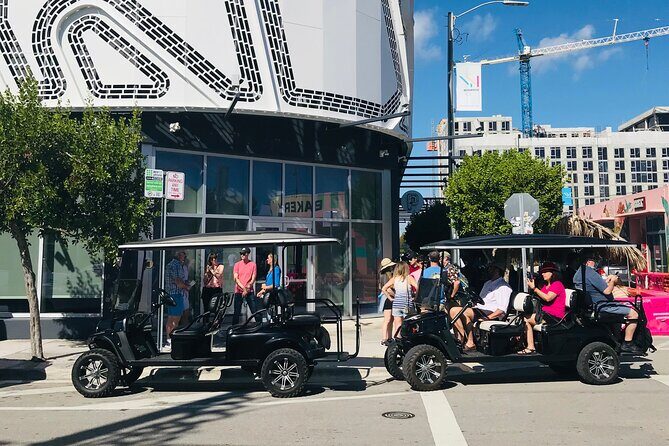 Small-Group Brewery Golf Cart Tour of Wynwood with a Local Guide - Who Will Love This Tour?