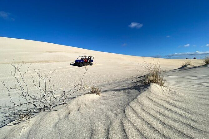 Small-Group Buggy Tour at Little Sahara with Guide - Itinerary Breakdown
