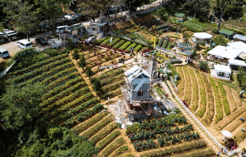Small Group Cebu City And Uphill Mountain Tour - What the Reviews Tell Us