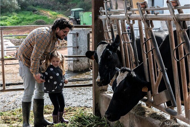 Small Group Cheese Making and Tasting from the Island of Baleares - An In-Depth Look at What You Can Expect
