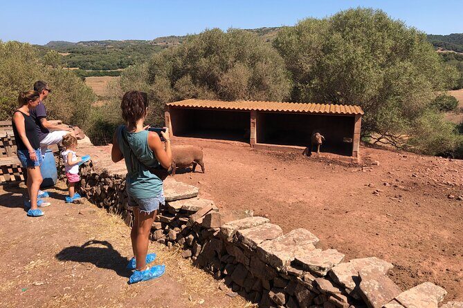 Small Group Cheese Making and Tasting from the Island of Baleares - Final Thoughts
