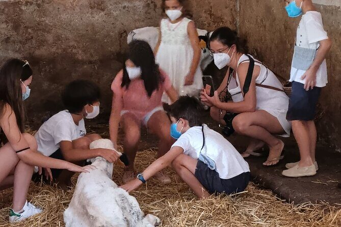 Small Group Cheese Making and Tasting from the Island of Baleares - Additional Information & Tips