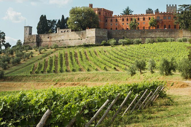 Small-Group Chianti Trip with Wine Tasting from Siena - Wrapping It Up