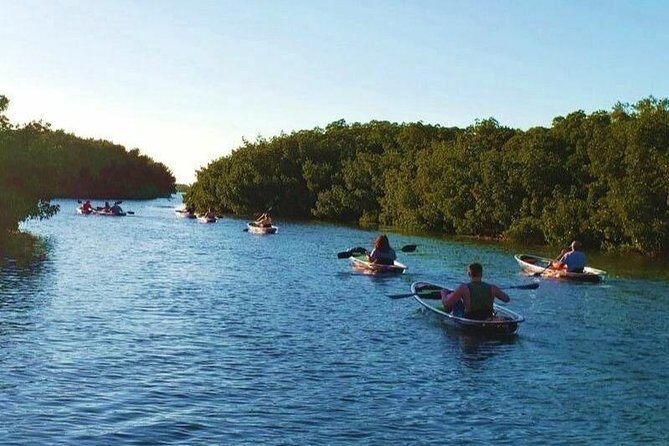 Small-Group Clear Kayak Tour in Shell Key - Starting Point and Accessibility