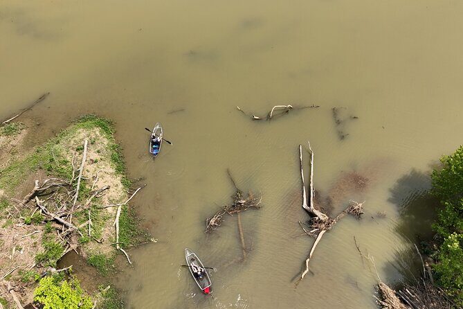 Small Group Clear Kayak Tour of Old Hickory Lake - The Value of a Small-Group Experience