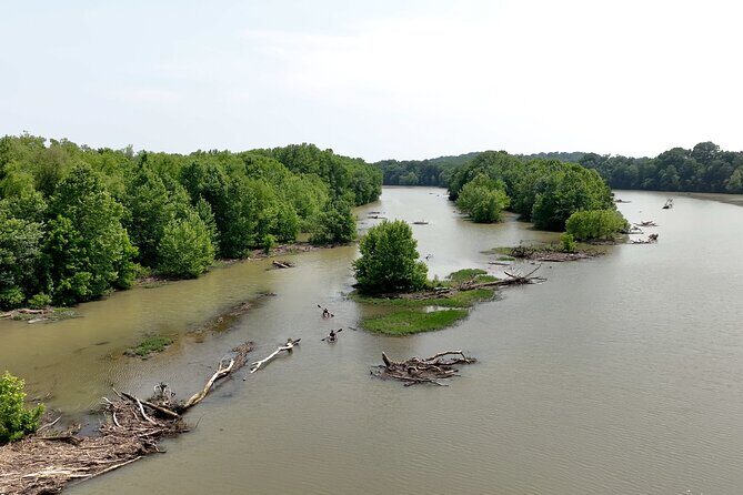 Small Group Clear Kayak Tour of Old Hickory Lake - Practical Tips for Future Participants