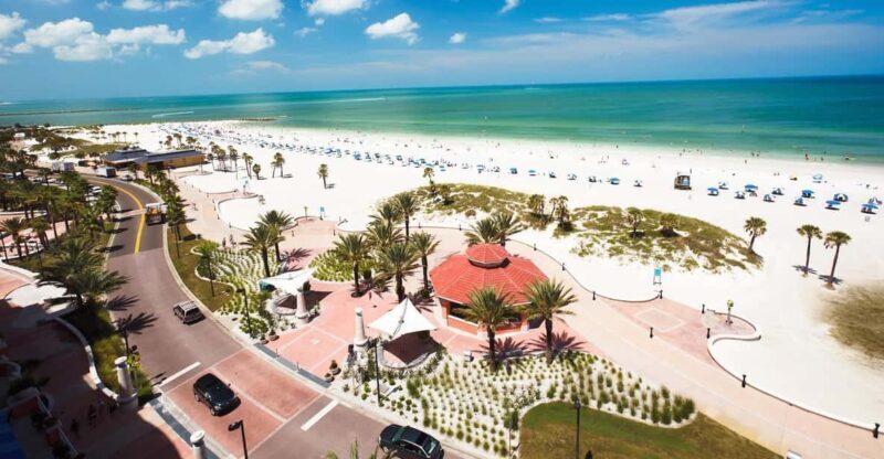 Small Group Clearwater Beach,Dolphin Watch Tour from Orlando - Key Points