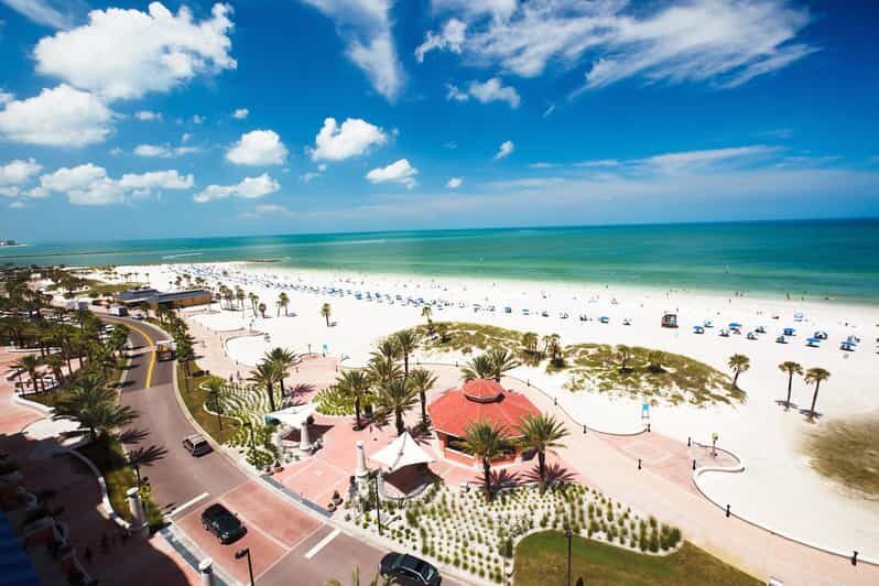 Small Group Clearwater Beach,Dolphin Watch Tour from Orlando - Why You’ll Love This Tour