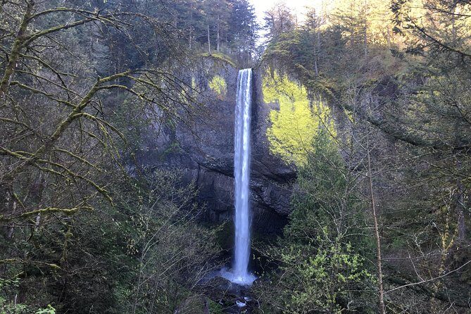 Small Group: Columbia River Gorge Waterfalls Tour from Portland - The Sum Up