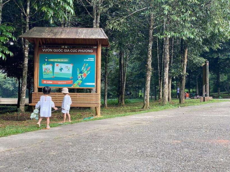 Small Group: CucPhuong National Park 1 day pick up Ninh Binh - Key Points