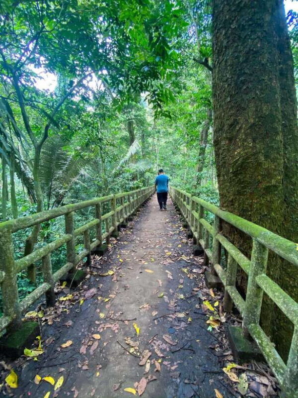 Small Group: CucPhuong National Park 1 day pick up Ninh Binh - Exploring Cuc Phuong National Park — What to Expect