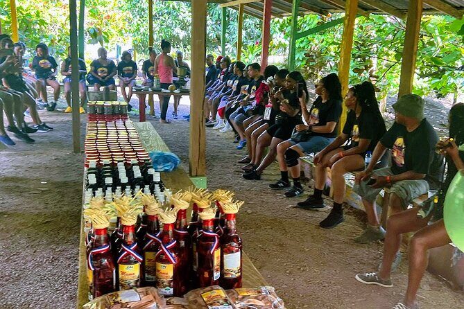 Small Group Cultural Safari - Deep Dive into the Highlights