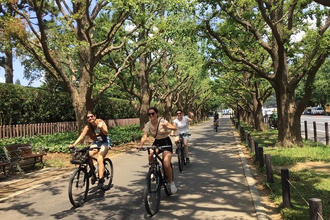 Small Group Cycling Tour in Tokyo - Who Would Enjoy This Tour?