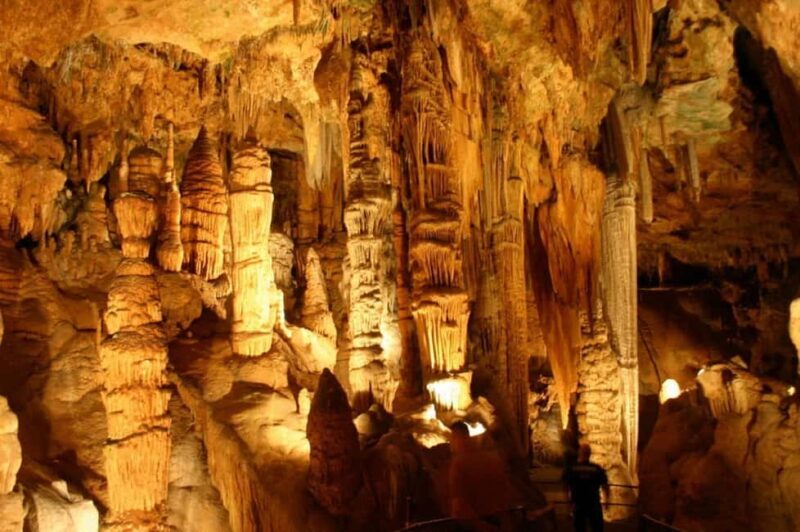 Small-Group D.C. Day Trip to Shenandoah Park & Luray Cavern - Key Points
