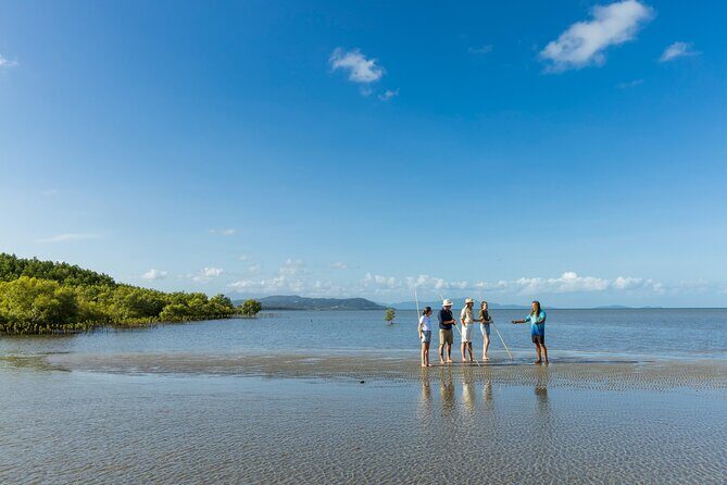 Small Group Daintree Rainforest and Aboriginal Coastal Adventure - Key Points
