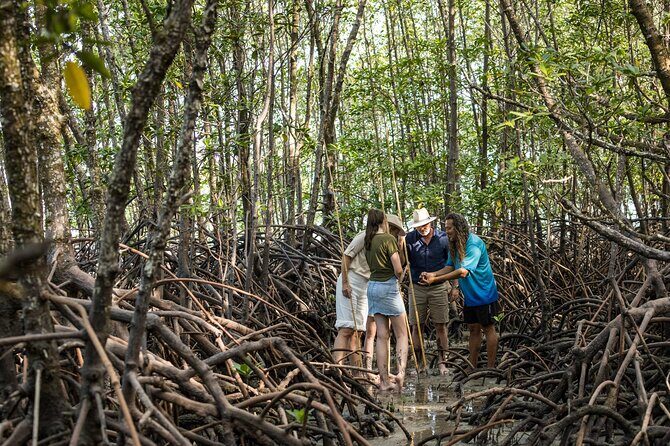 Small Group Daintree Rainforest and Aboriginal Coastal Adventure - Start at the Kuku Yalanji Cultural Heritage Beach Walk