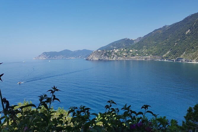 Small Group Day Tour in Cinque Terre and Pisa From Florence - Transport and Logistics: Why They Matter