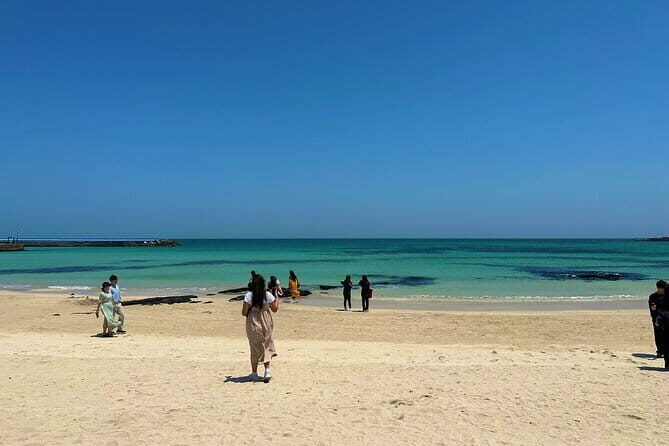 Small Group Day Tour in East Jeju Healing Island - Who Will Love This Tour?