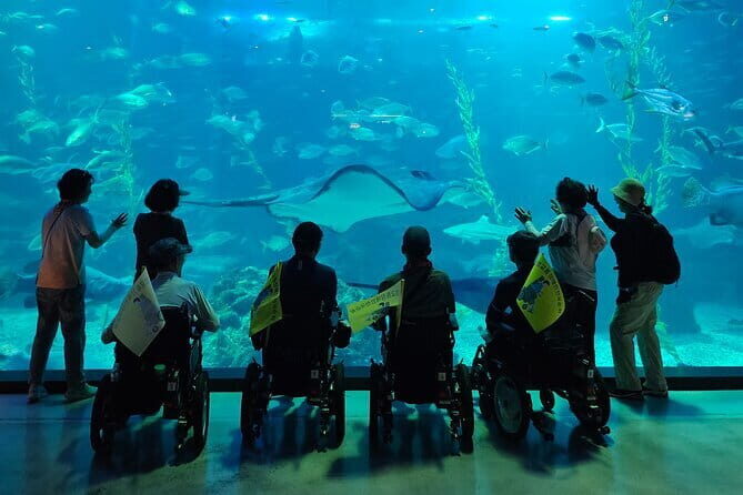 Small Group Day Tour in West Jeju Healing Island - Lava Tube Adventure at Hyeopjaegul and Ssangyonggul Caves