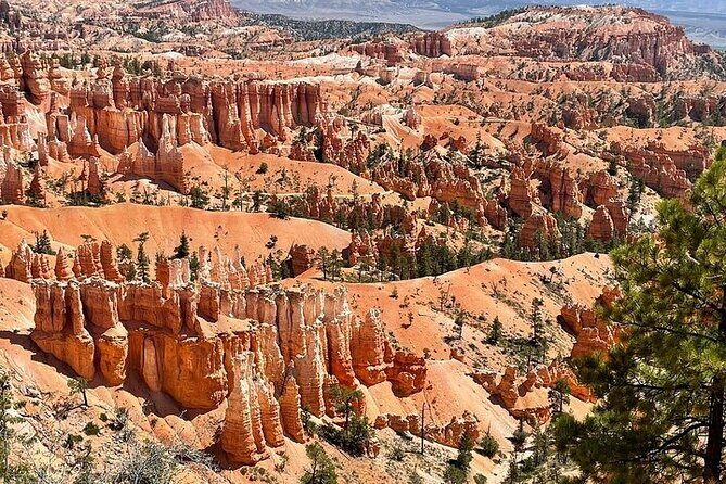 Small Group Day Tour To Explore Bryce Canyon & Zion National Park - Frequently Asked Questions