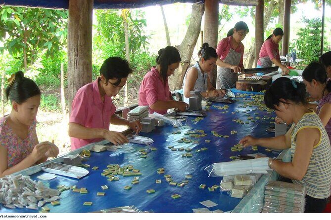 Small-Group Day Trip in Mekong Delta - My Tho & Ben Tre - Who Is This Tour Best For?