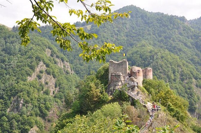 Small-Group Day trip Transfagarasan road and Poienari Fortress from Brasov - Key Points