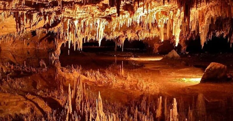 Small-Group DC Day Trip to Shenandoah Park&Luray Cavern - Exploring Virginia’s Natural Gems in a Day