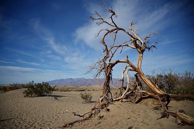 Small-Group Death Valley National Park Day Tour from Las Vegas - The Sum Up