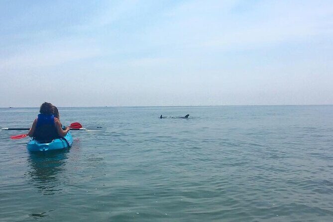 Small Group Dolphin Kayak Eco-Tour - Practical Tips & Who Will Enjoy This