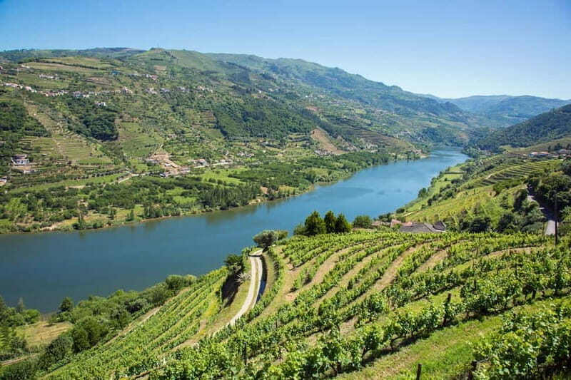 Small Group: Douro Valley Wine Tasting from Porto - Key Points
