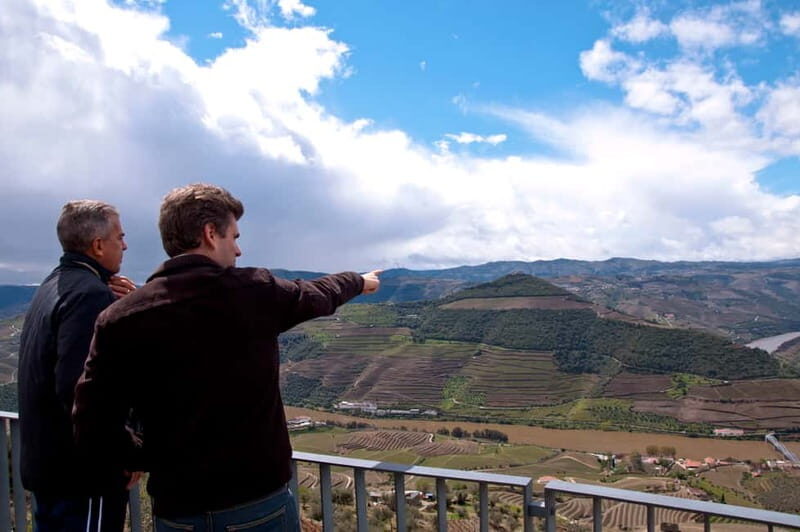 Small Group: Douro Valley Wine Tasting from Porto - Who Will Love This Tour?