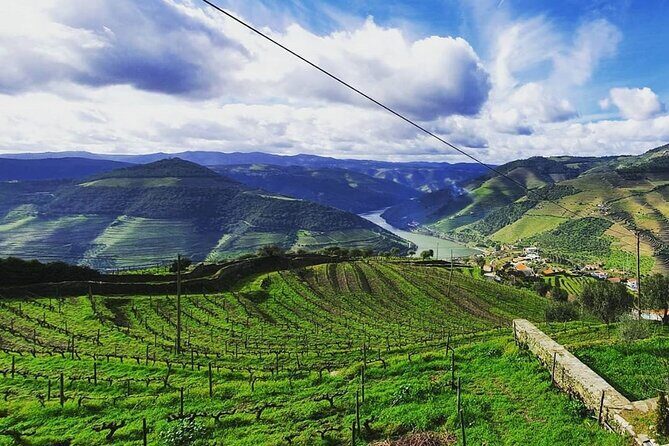 Small Group Douro Wine Valley Tour with Lunch and Wine Tasting - Practical Details: What You Need to Know