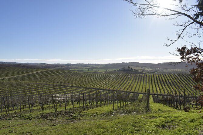 Small Group E-Bike Chianti Tour with farm lunch from Siena - Key Points