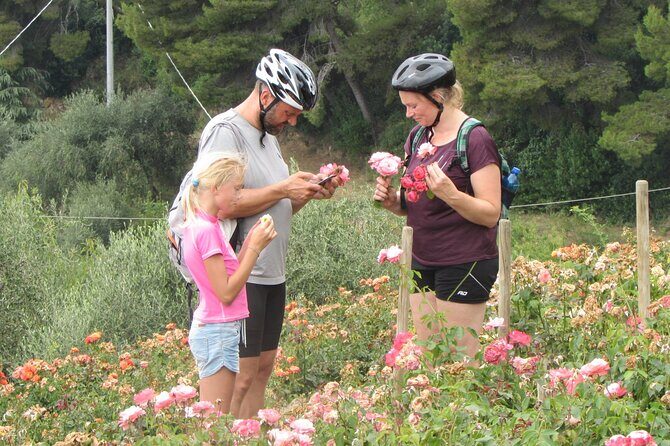 Small Group E-bike Tour in the Ligurian Riviera with Lunch - The Sum Up