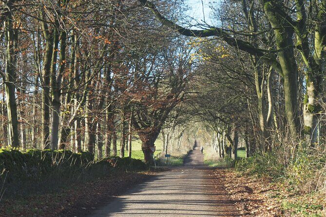 Small Group eBike Tour featuring Peak District Highlights - Practical Details